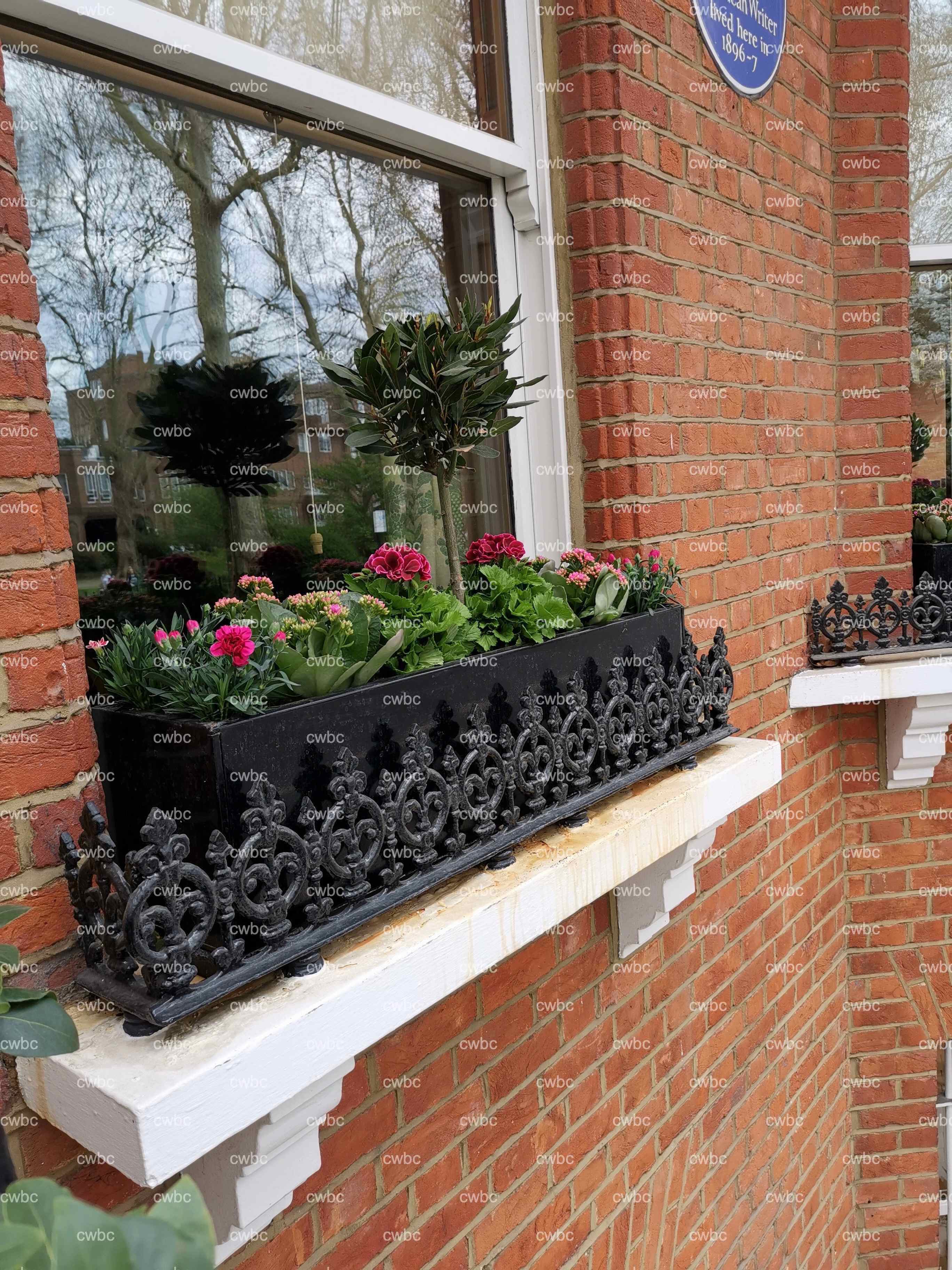 window Boxes