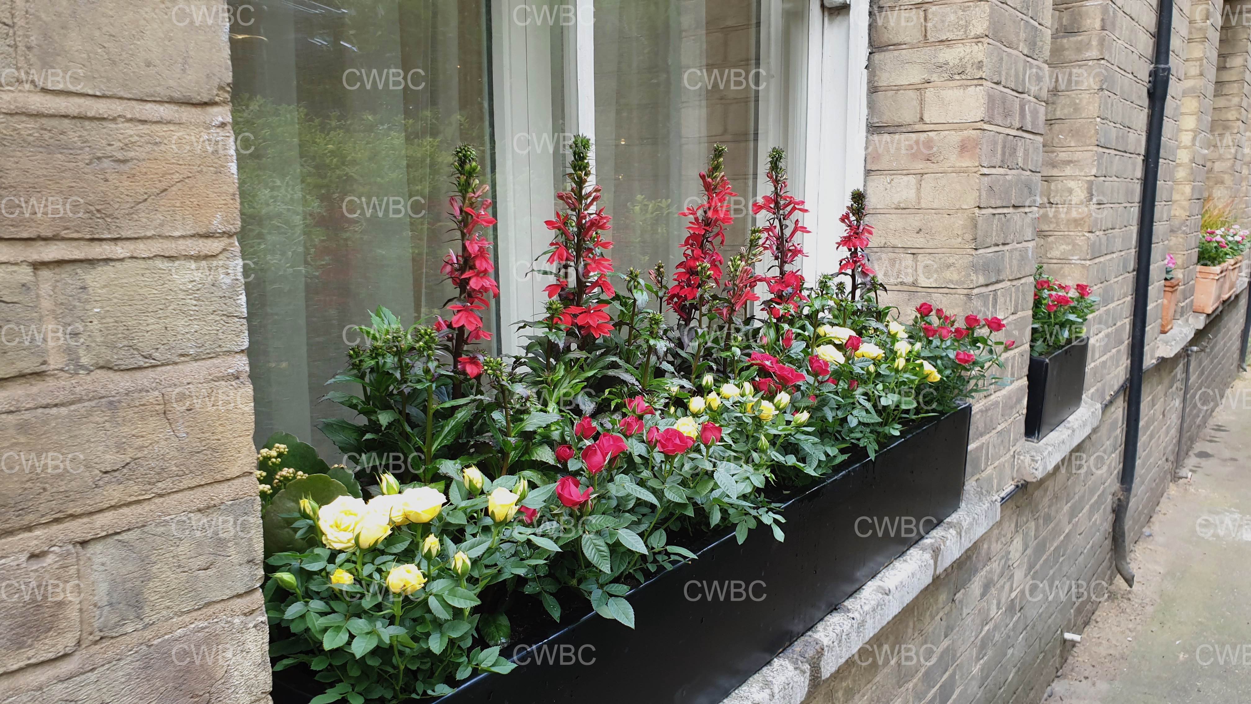 window Boxes