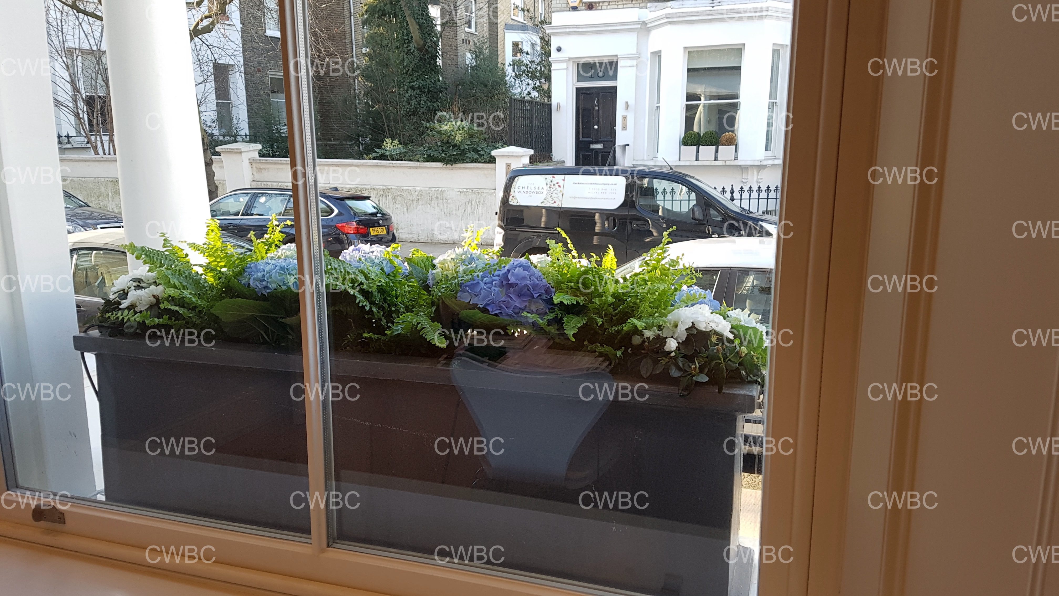 window Boxes
